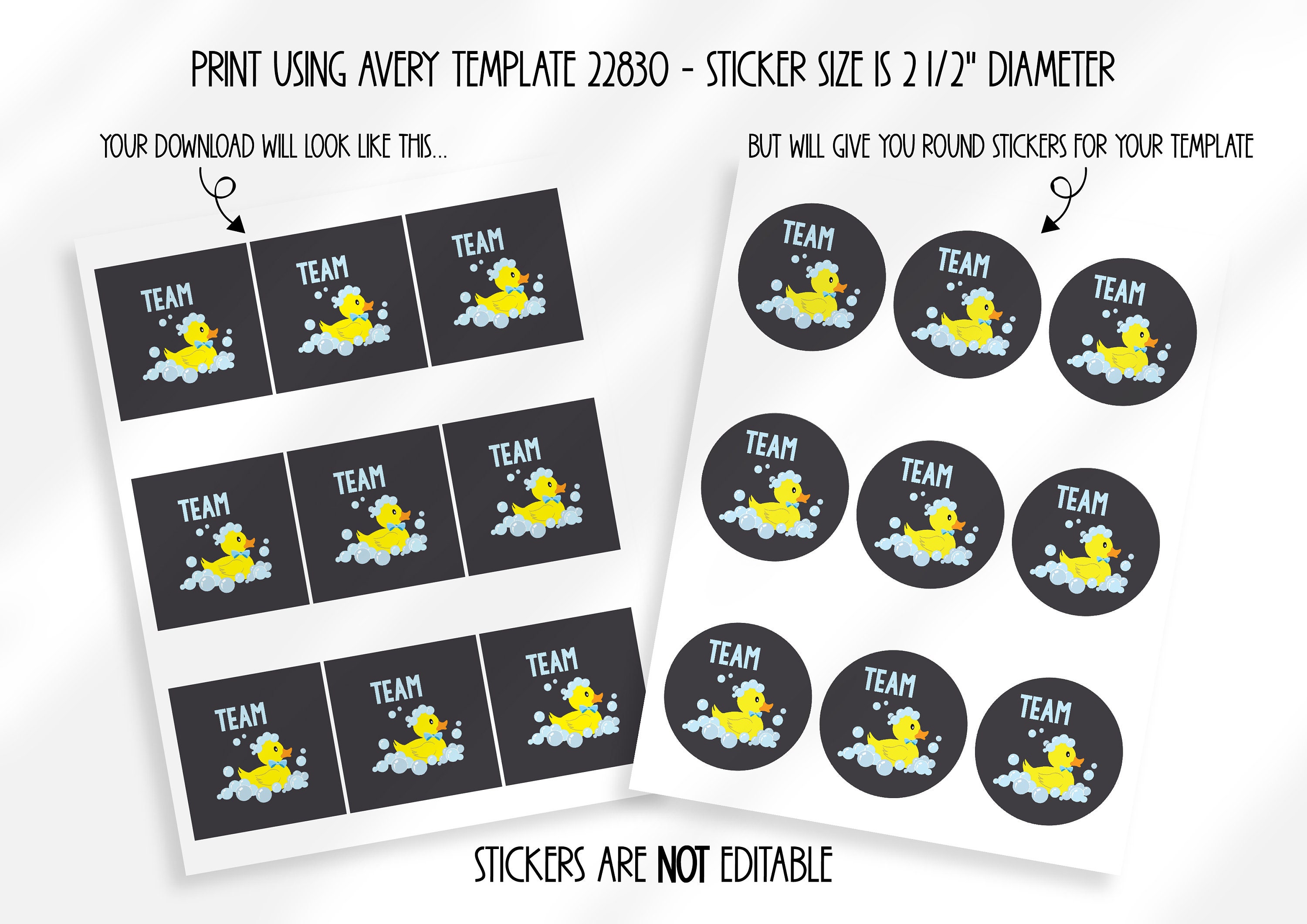 What the Duck Gender Reveal Party Gender Reveal Stickers Printable - Etsy