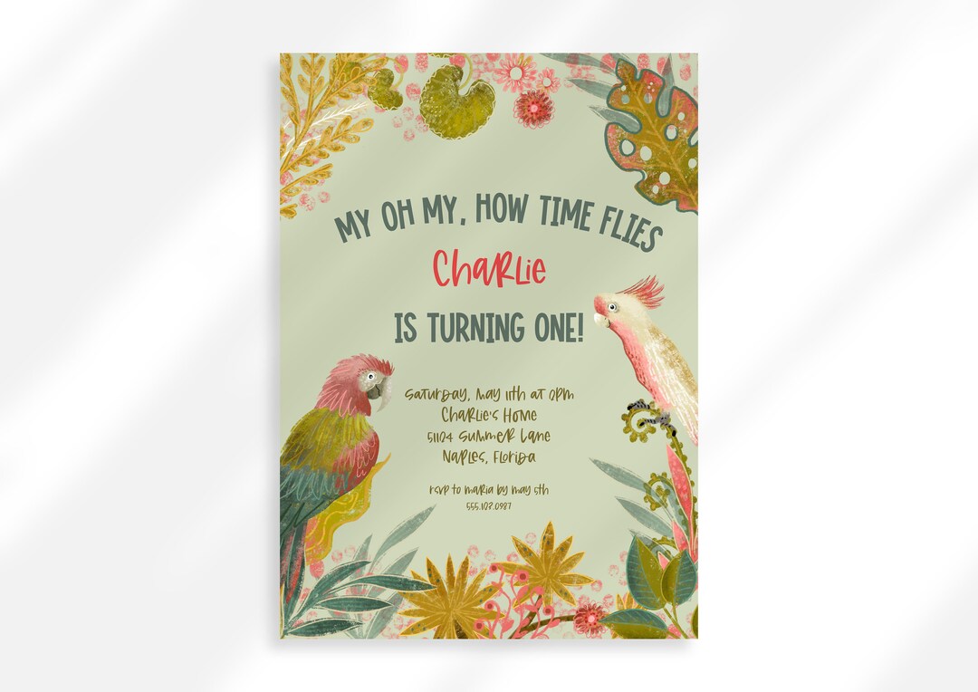 How Time Flies First Birthday Invitation Girl Digital Download, Party ...