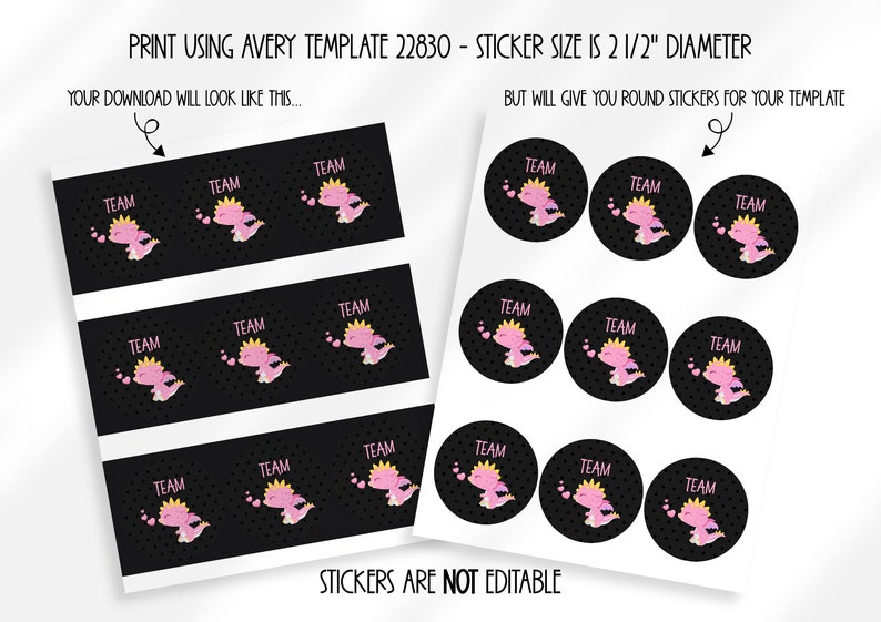Gender Reveal Stickers | Dragon Gender Reveal Party | Team Boy Team ...