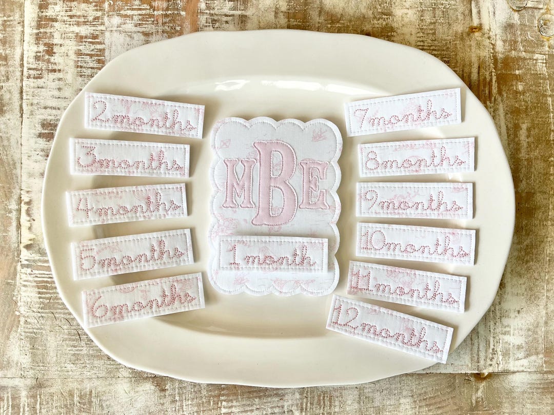 The Original Monthly Milestone Plaque With Applique Monogram | Months 1 ...