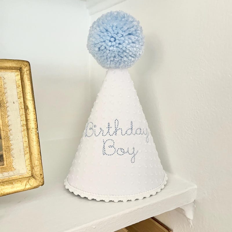 Birthday Boy Party Hat - Etsy