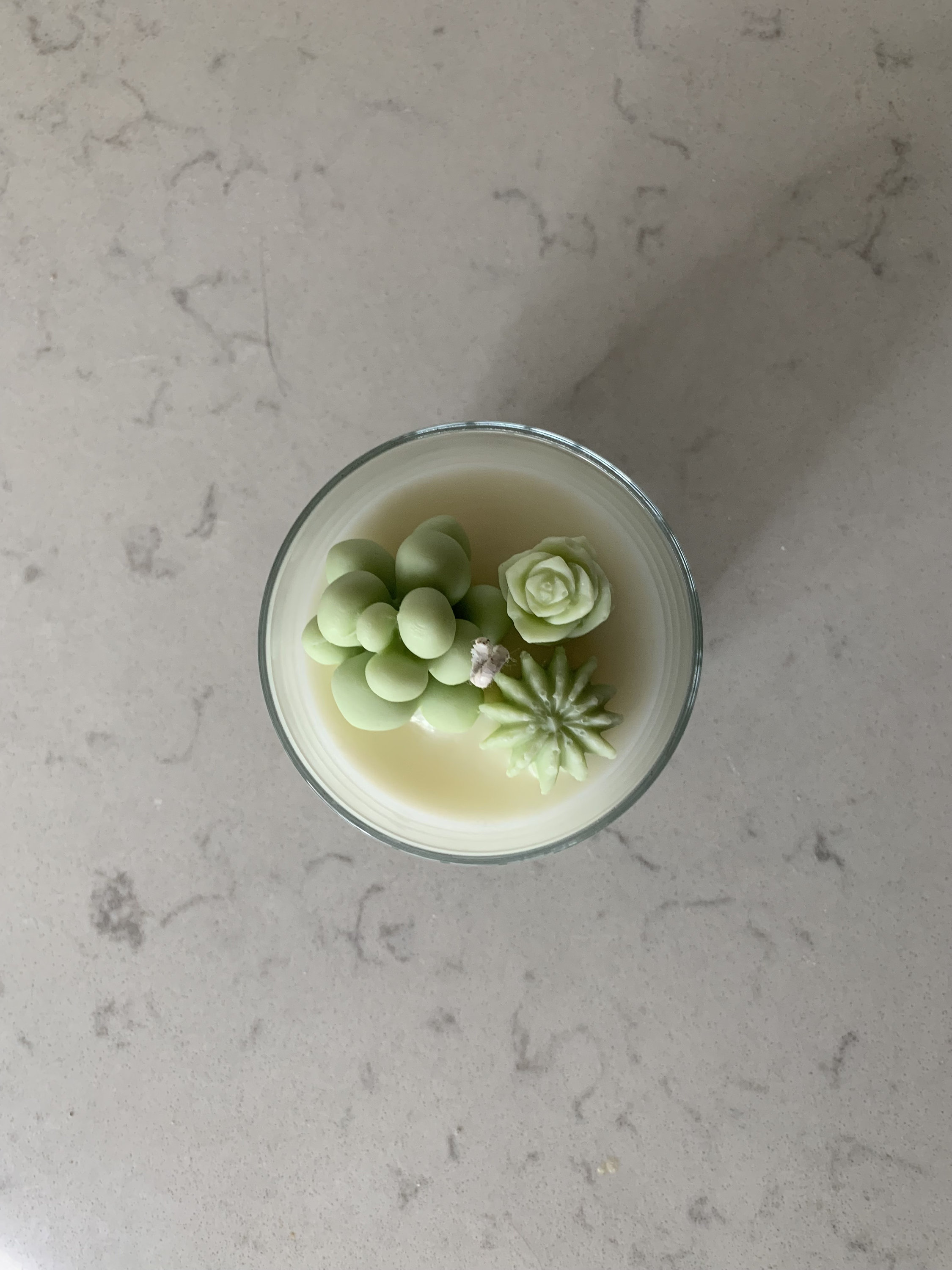 Cacti and Succulents Terrarium Candle Unique Candle - Etsy UK