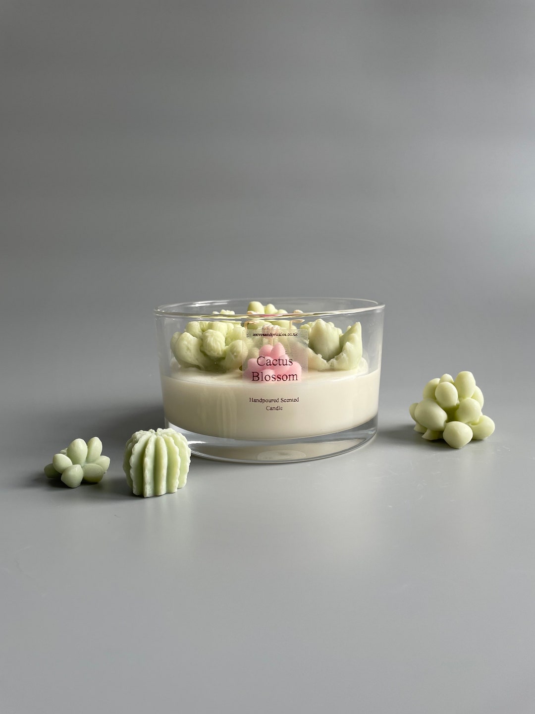 Cacti and Succulents Terrarium Candle Unique Candle Handmade Soy Wax ...