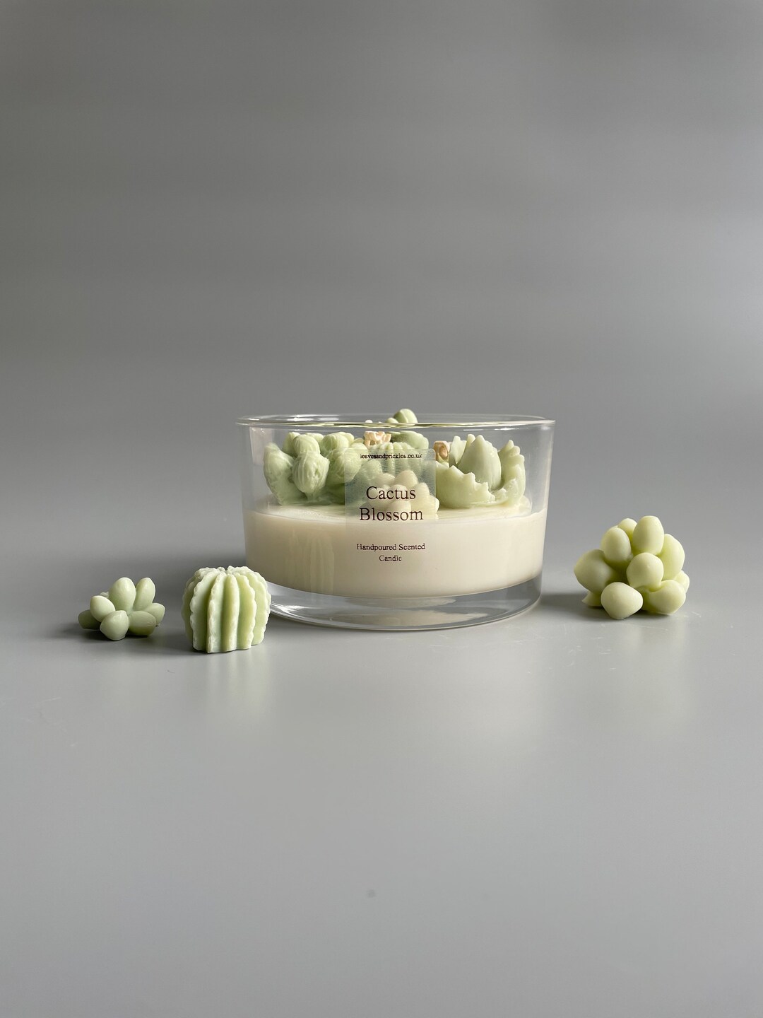 Cacti and Succulents Terrarium Candle Unique Candle Handmade Soy Wax ...