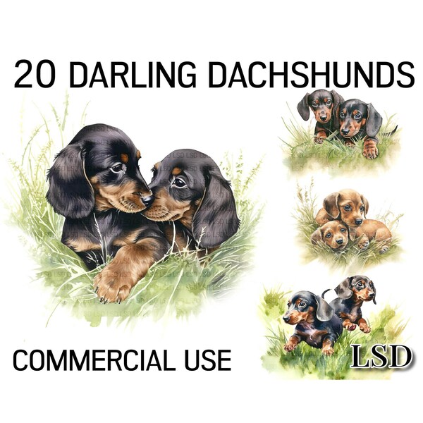 Dachshund Clipart - Etsy