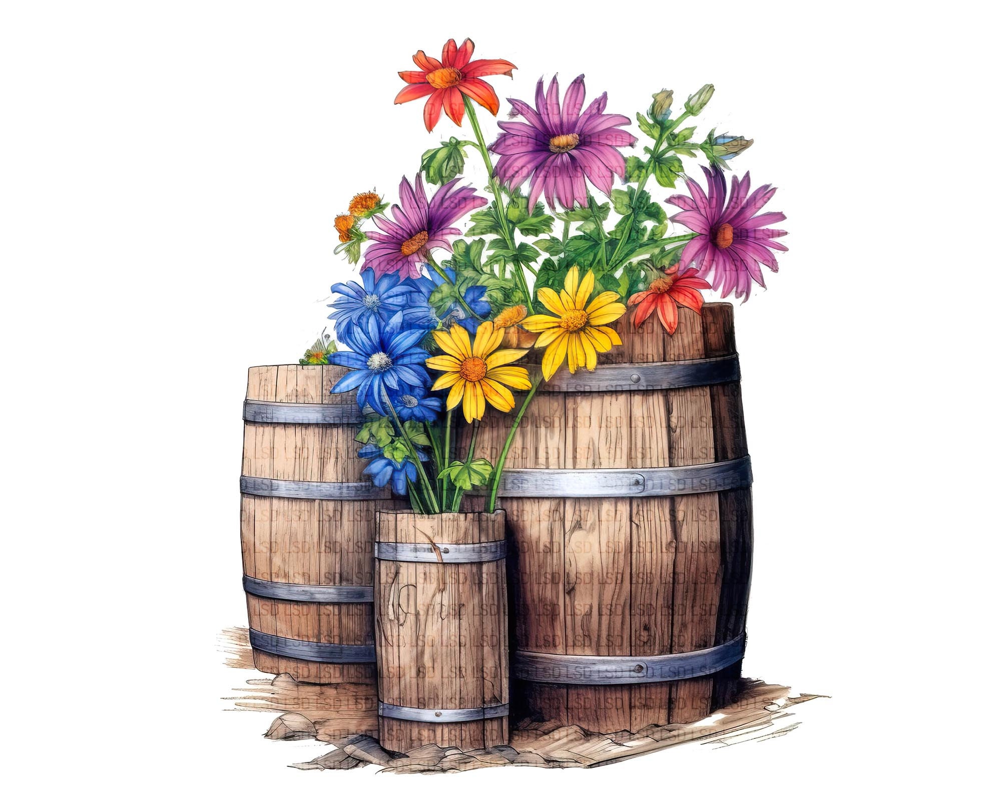 20 Flower Barrel Clipart Bundle Watercolour Wildflower Filled - Etsy