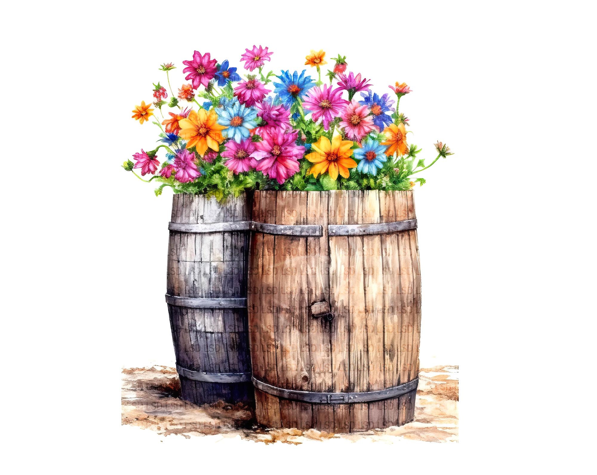 20 Flower Barrel Clipart Bundle Watercolour Wildflower Filled - Etsy