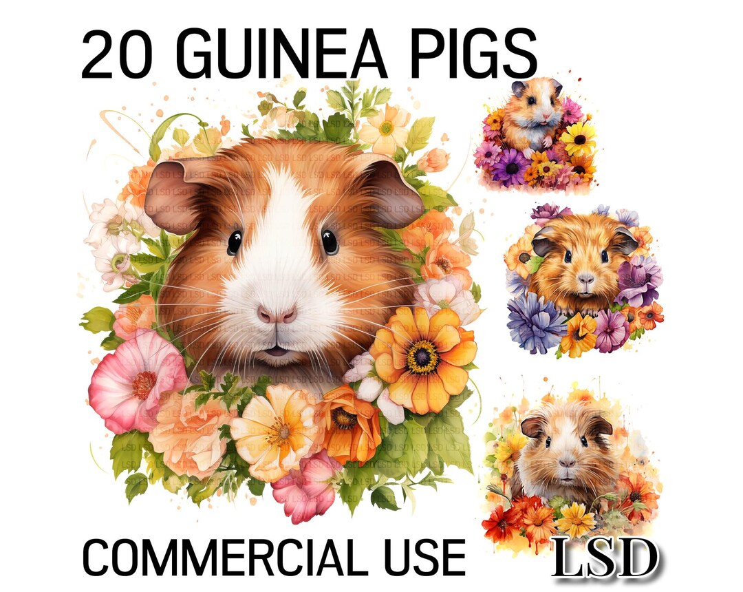 20 Guinea Pigs, Watercolor Guinea Pigs Clipart Images Pack, Sublimation ...