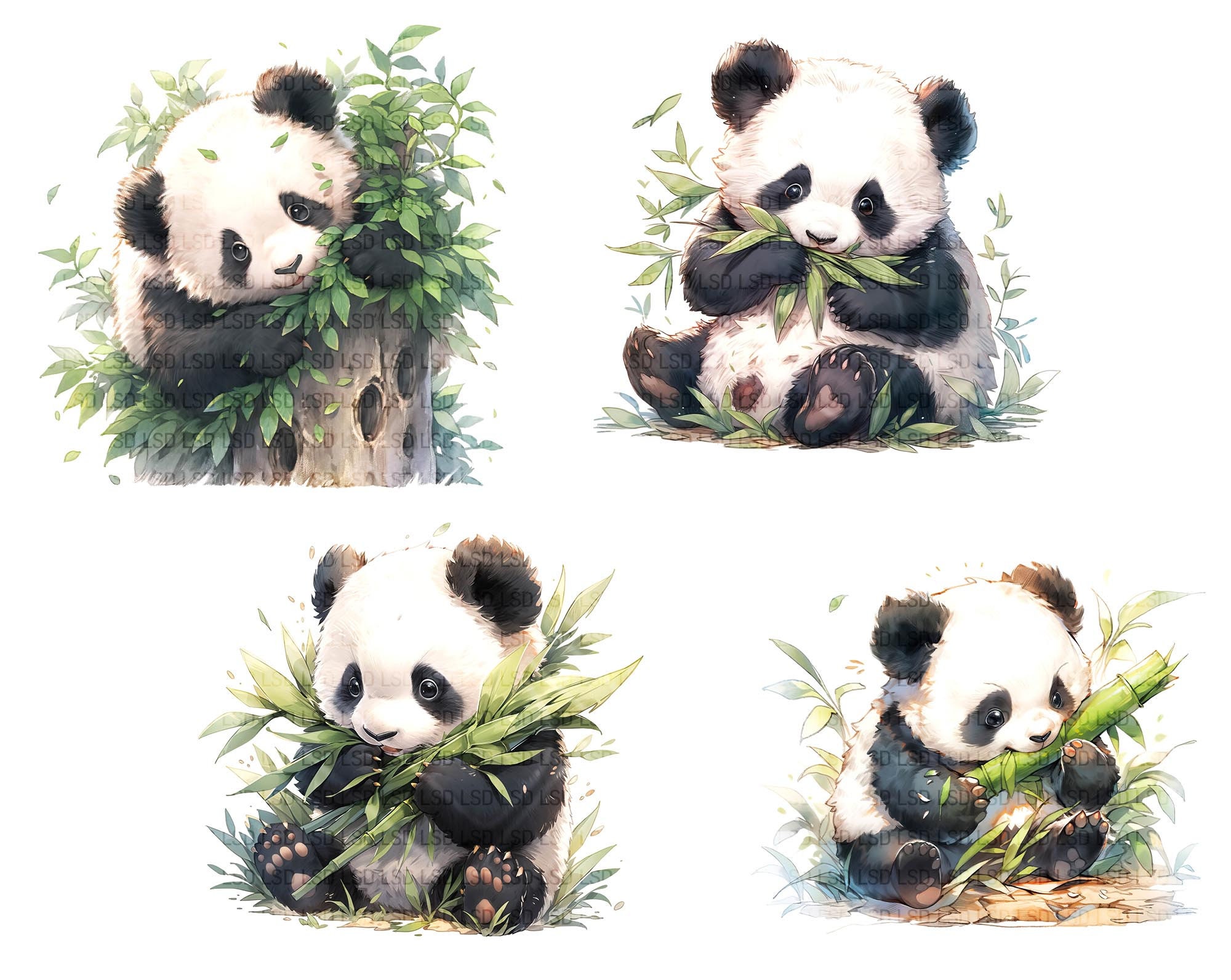 20 Cute Panda Bear Digital Clipart Bundle, Watercolour Giant Panda Bear ...