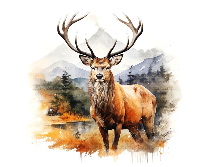 20 Scottish Stags Clipart Images, Watercolour Scotland Highland Deer ...
