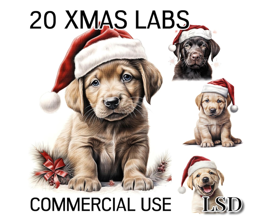 20 Christmas Labradors, Cute Festive Dog Clipart Bundle, Labrador ...