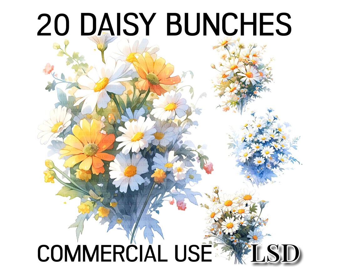 20 Daisy Bouquets, Clipart Images, Wildflower Daisy, Watercolor Images ...