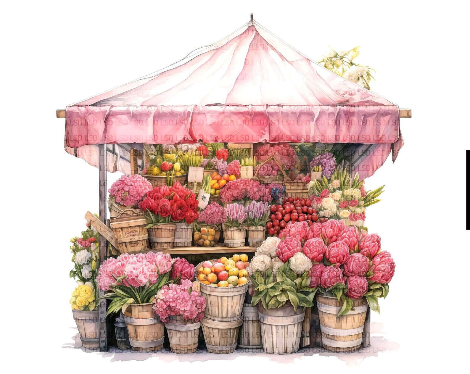 20 Pink Flower Stalls, Clipart Images for Download, Watercolour French ...