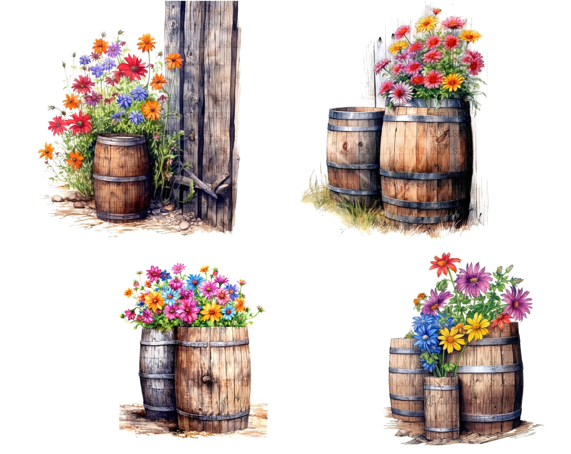 20 Flower Barrel Clipart Bundle Watercolour Wildflower Filled - Etsy