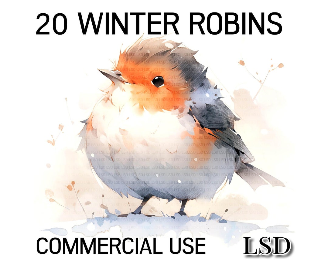 20 Winter Red Robin Clipart Images, Festive Christmas Robin Pack ...