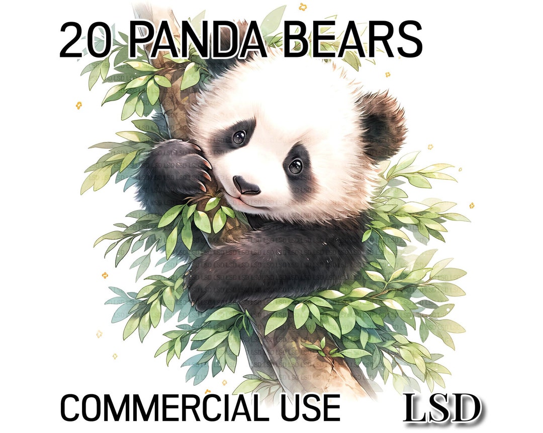 20 Cute Panda Bear Digital Clipart Bundle, Watercolour Giant Panda Bear ...