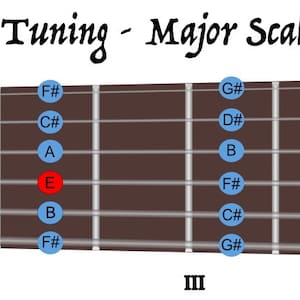 Standard Tuning Guide Guitar Poster - Etsy