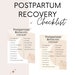Postpartum Recovery Checklist Printable Postpartum Checklist Instant ...