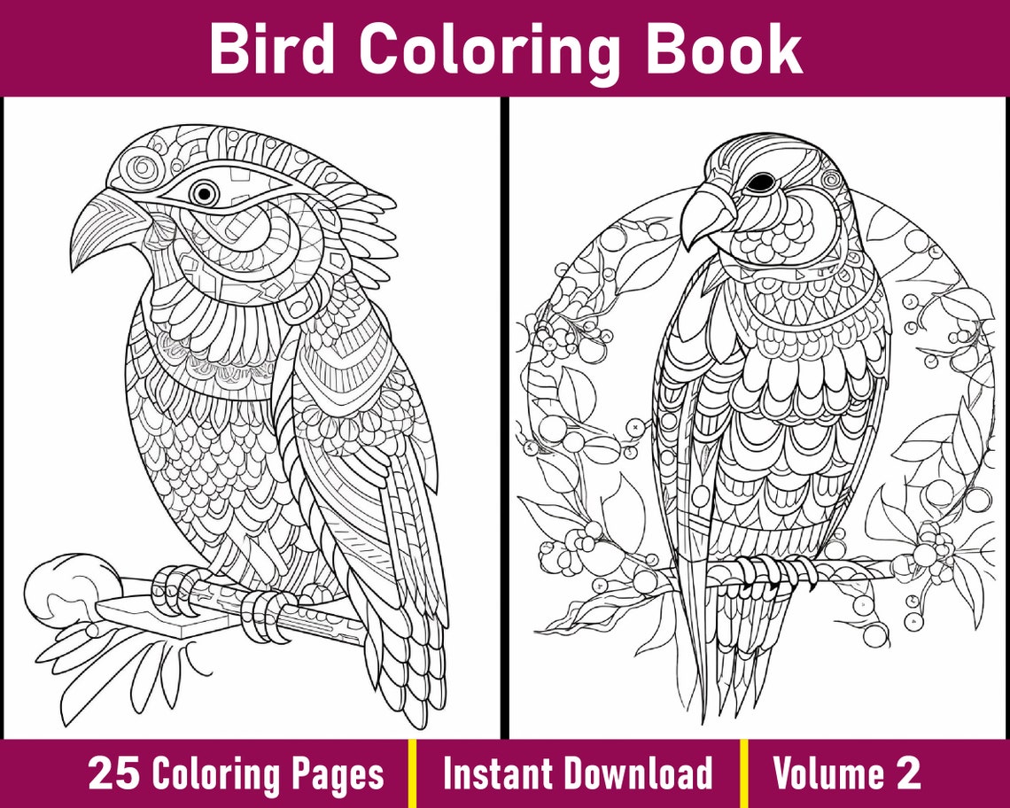 Bird Coloring Book Volume 2 Animal Coloring Pages Printable Parrot Bird ...