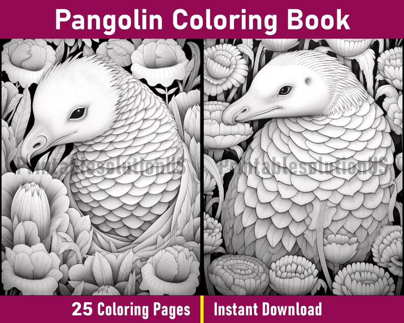 Pangolin Coloring Book Pages Vol-1 Printable Animal Coloring Pages ...