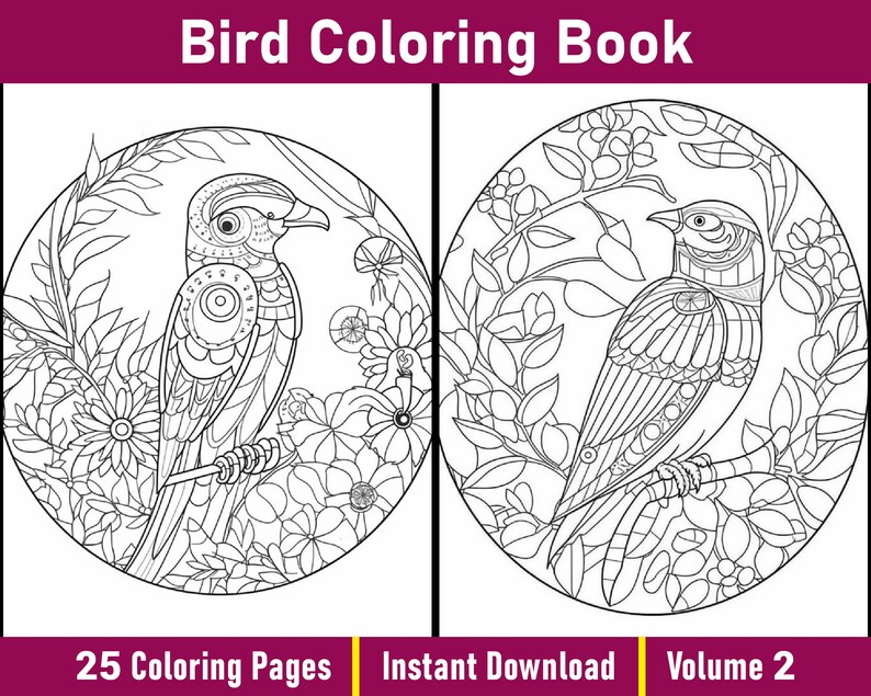 Bird Coloring Book Volume 2 Animal Coloring Pages Printable Parrot Bird ...