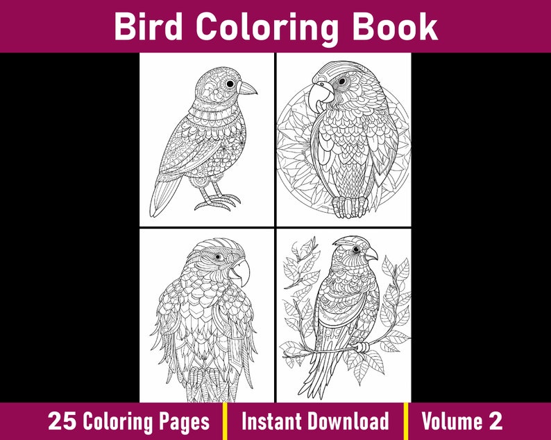 Bird Coloring Book Volume 2 Animal Coloring Pages Printable Parrot Bird ...