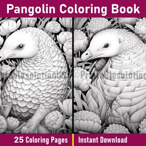 Pangolin Coloring Book Pages Vol-1 Printable Animal Coloring Pages ...