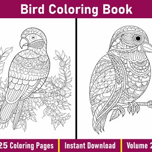 Bird Coloring Book Volume 2 Animal Coloring Pages Printable Parrot Bird ...