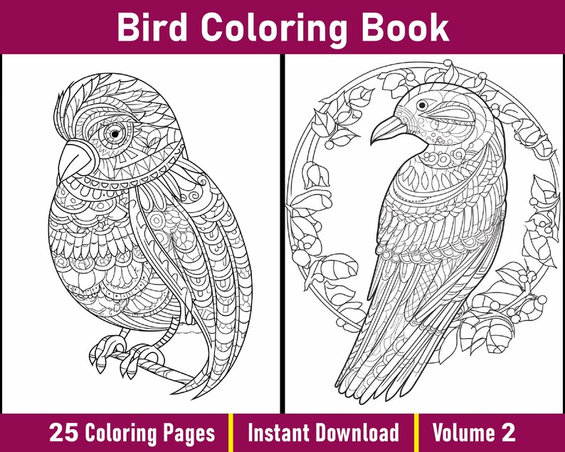 Bird Coloring Book Volume 2 Animal Coloring Pages Printable Parrot Bird ...