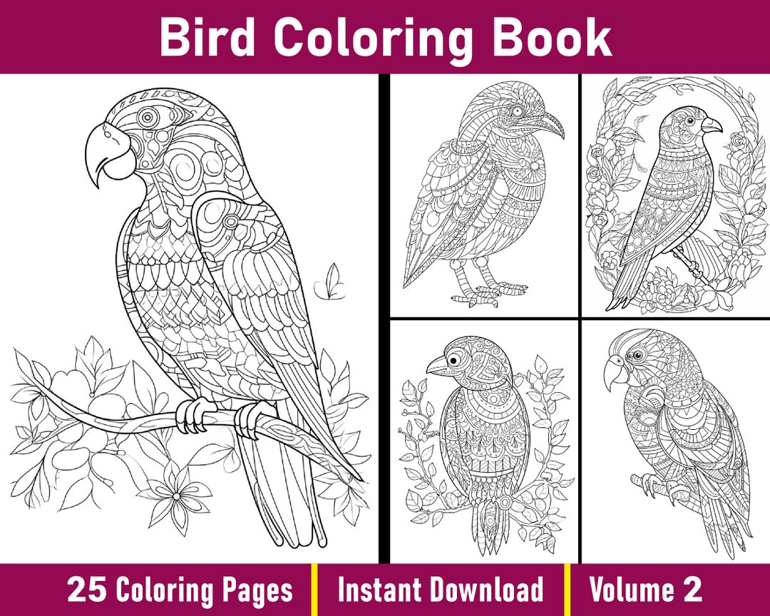Bird Coloring Book Volume 2 Animal Coloring Pages Printable Parrot Bird ...