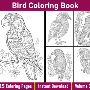 Bird Coloring Book Volume 2 Animal Coloring Pages Printable Parrot Bird ...