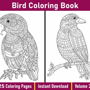 Bird Coloring Book Volume 2 Animal Coloring Pages Printable Parrot Bird ...