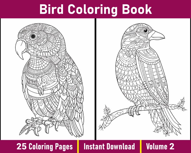 Bird Coloring Book Volume 2 Animal Coloring Pages Printable Parrot Bird ...