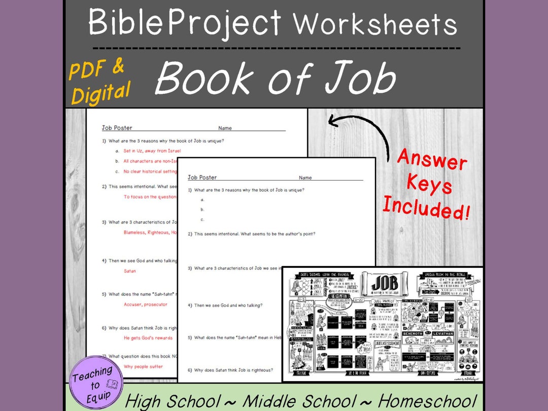 Summary of the Book of Job Bible Summary Overview Activity - Etsy