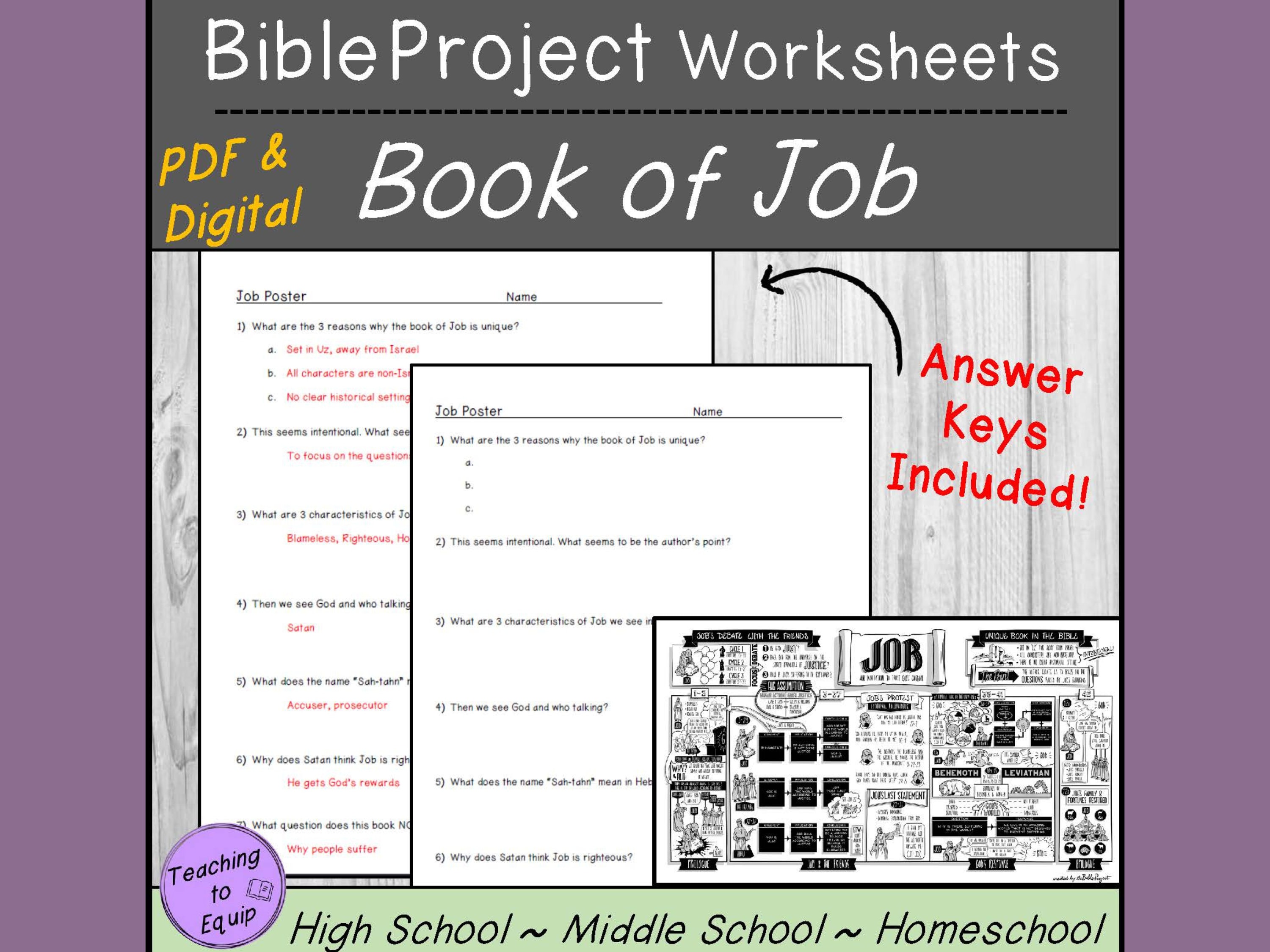 Summary of the Book of Job Bible Summary Overview Activity - Etsy