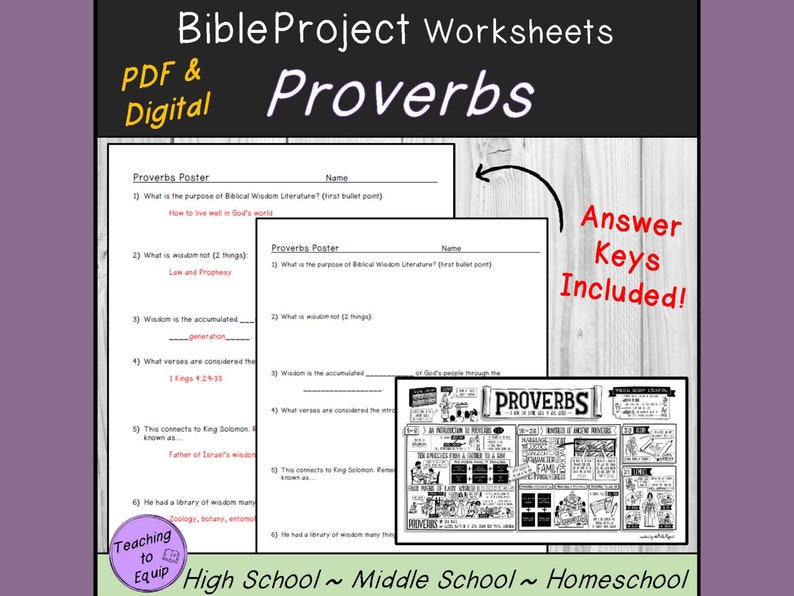 Book of Proverbs Bible Overview Summary Activity - Etsy