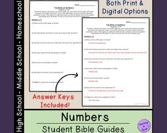 Genesis Book of the Bible Summary 2-part Activity (Download Now) - Etsy