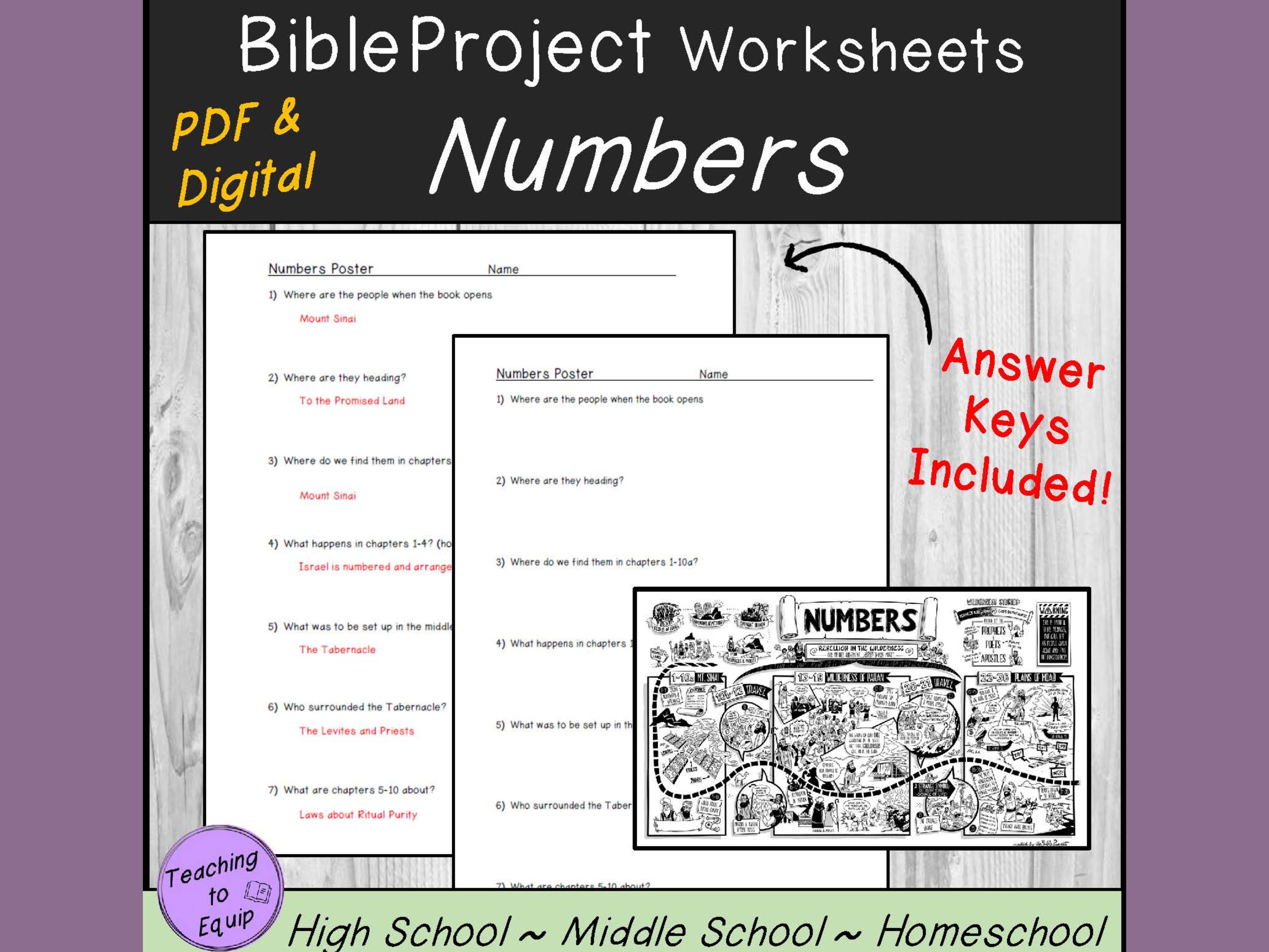 Book Of Numbers Bible