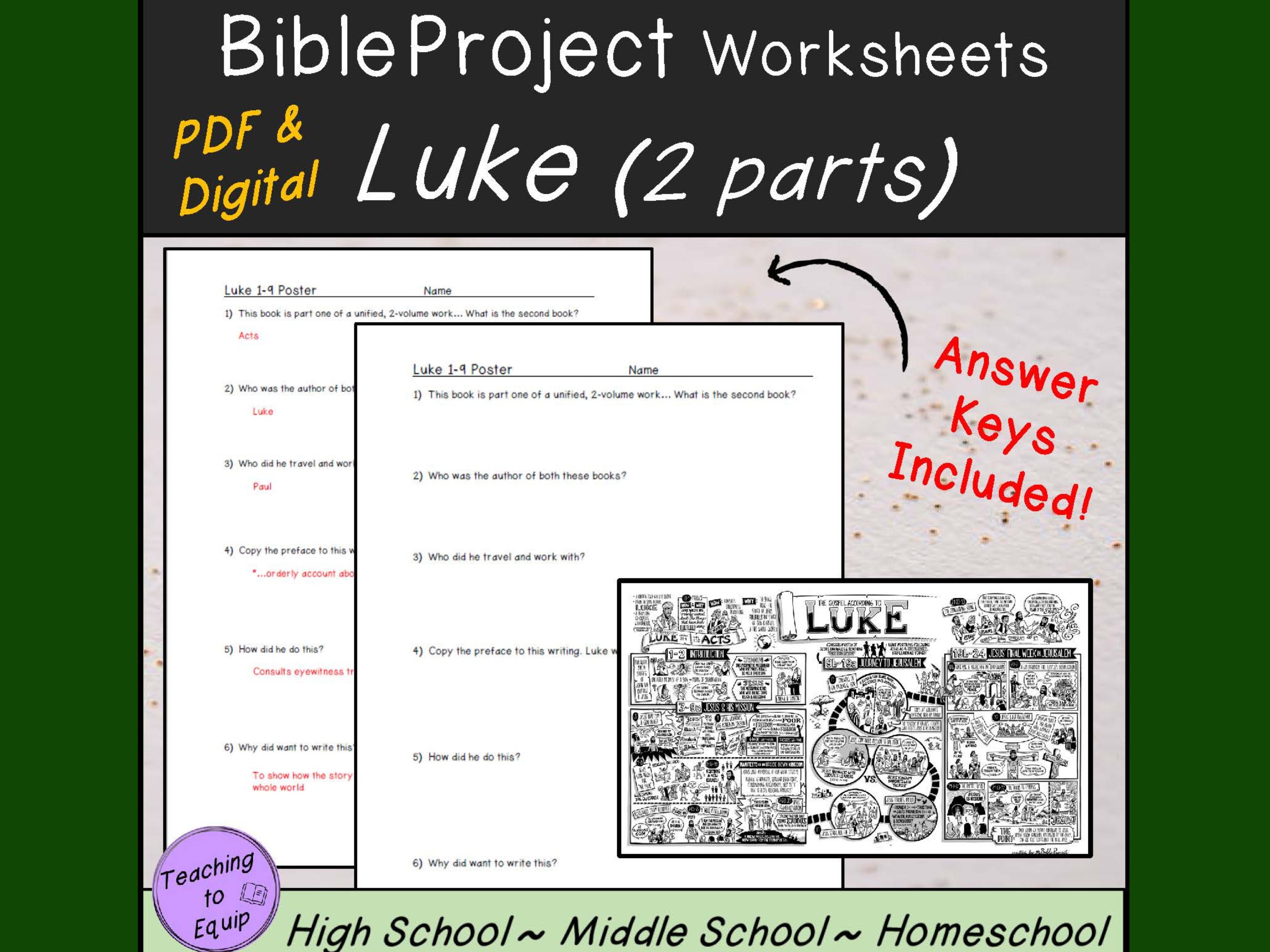 Summary of the Gospel of Luke Bible Activity Worksheet - Etsy