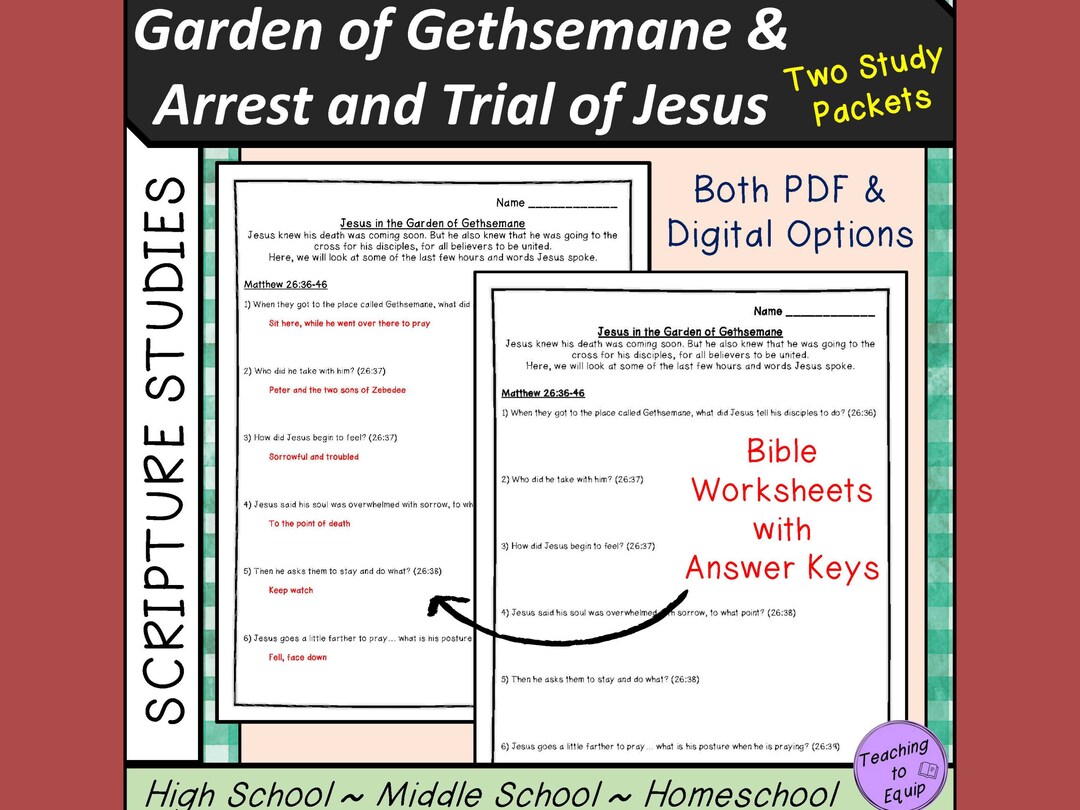Garden of Gethsemane Arrest and Trial of Jesus Bible - Etsy