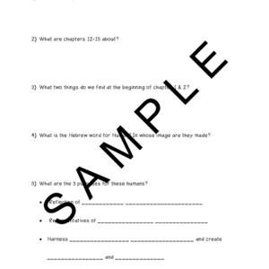 Genesis Book of the Bible Summary 2-part Activity (Download Now) - Etsy