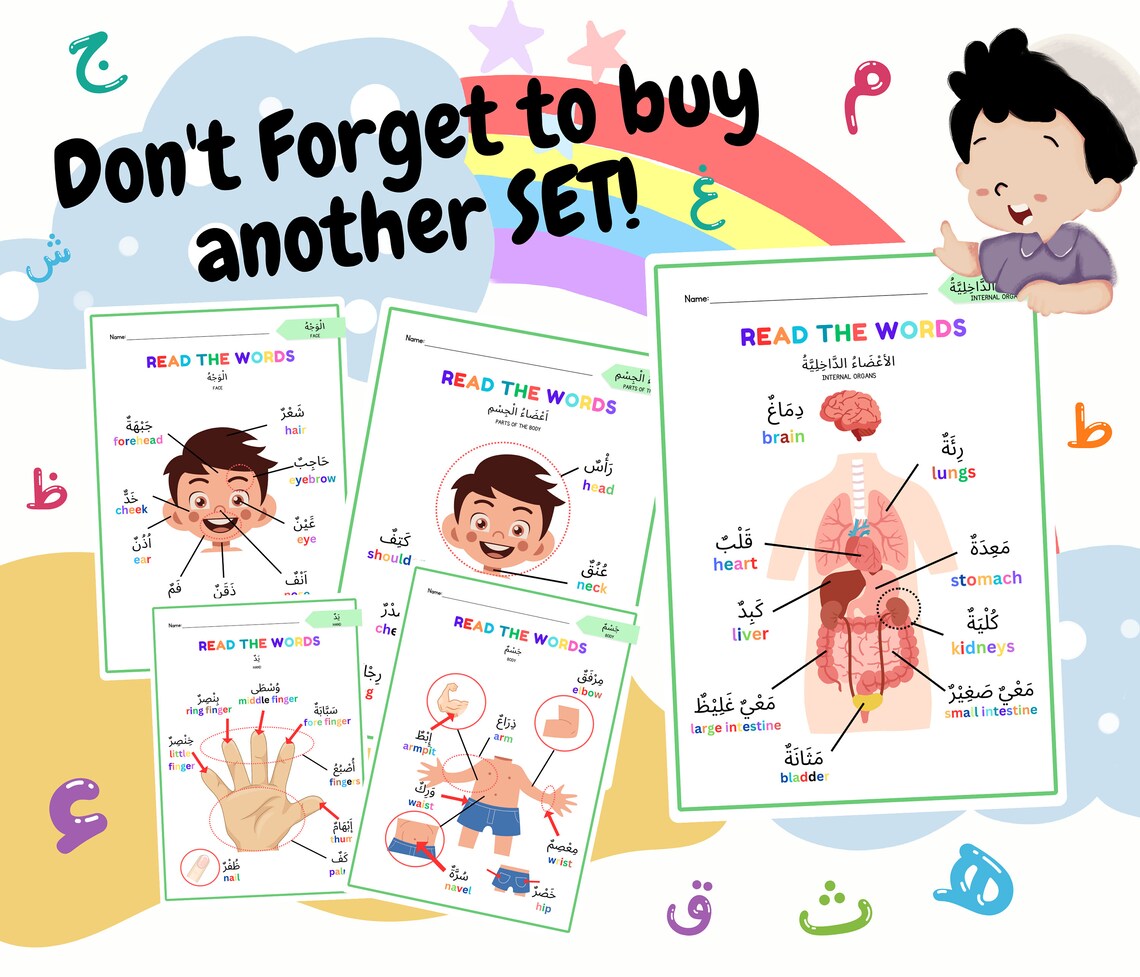 Arabic Internal Organs Worksheet Activity for Homeschooling | Learning ...