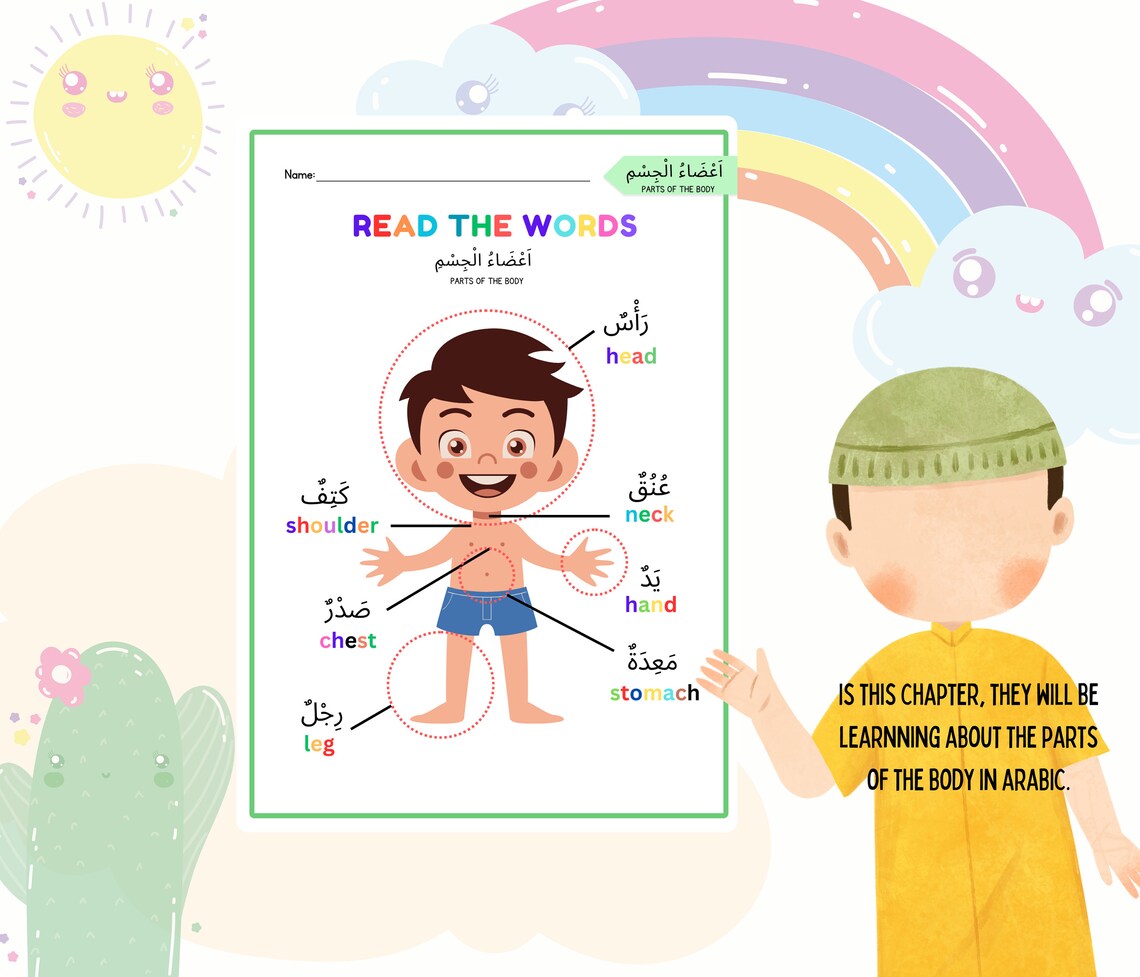 Arabic Parts of the Body Worksheet for Homeschooling Learning Arabic ...