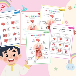 Arabic Internal Organs Worksheet Activity for Homeschooling | Learning ...