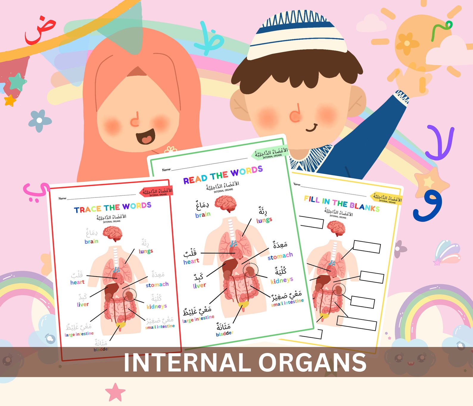 Arabic Internal Organs Worksheet Activity for Homeschooling | Learning ...