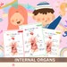 Arabic Internal Organs Worksheet Activity for Homeschooling | Learning ...