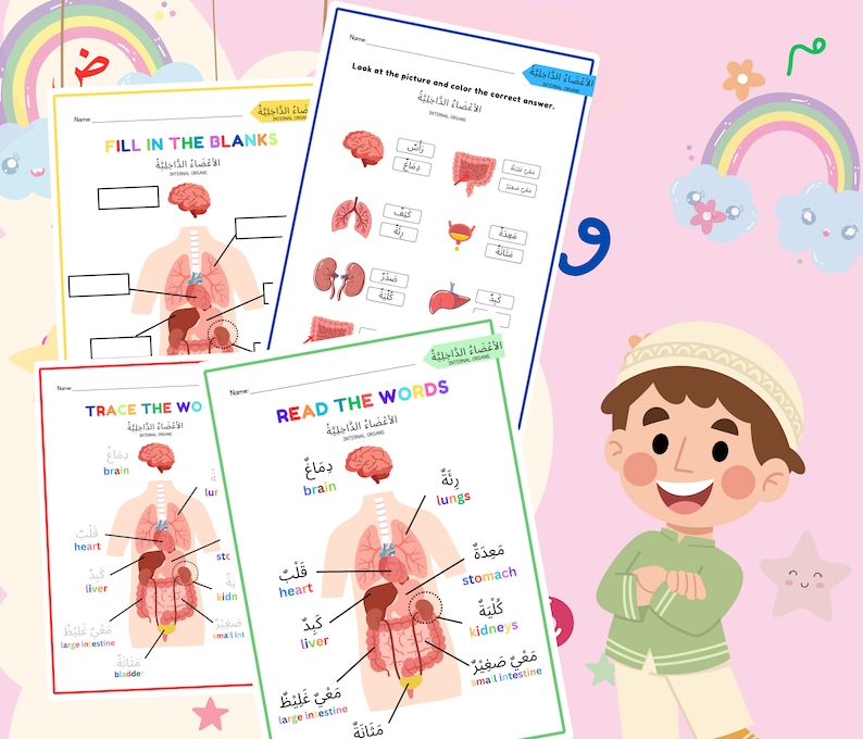 Arabic Internal Organs Worksheet Activity for Homeschooling | Learning ...