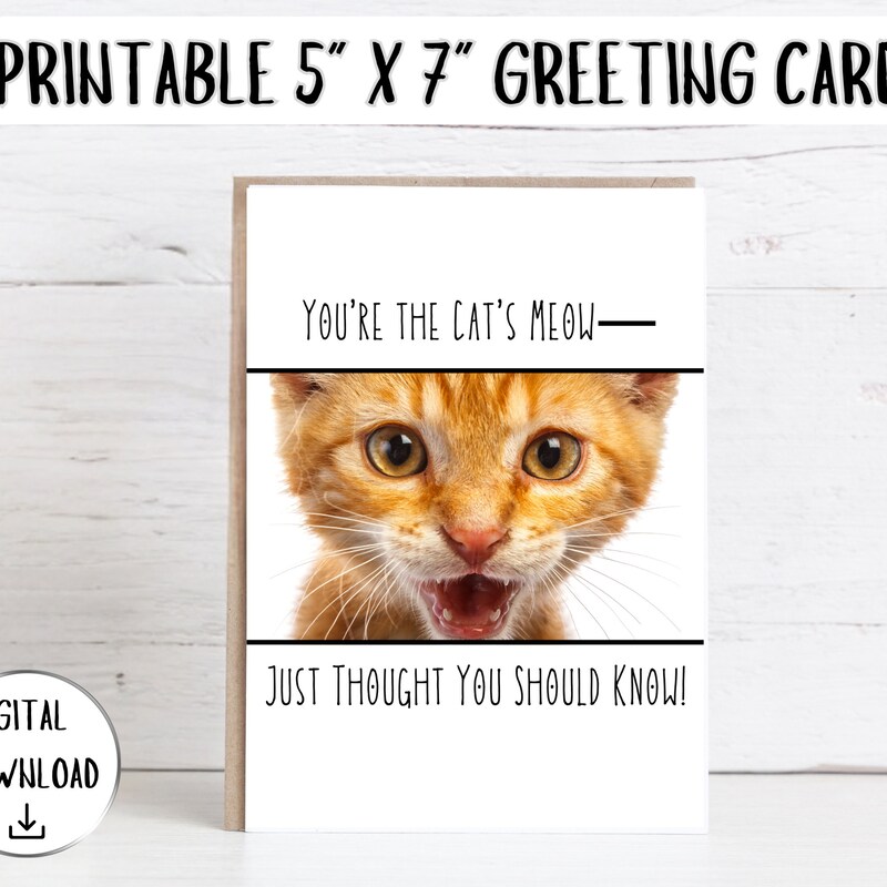 You're the Cats Meow - Etsy