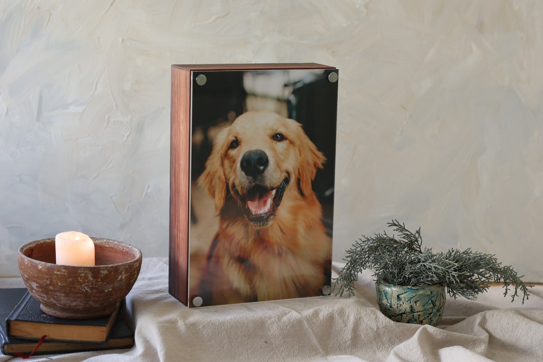 Personalized Pet Photo Urn, Modern Dog Cat Ashes Keepsake - Etsy