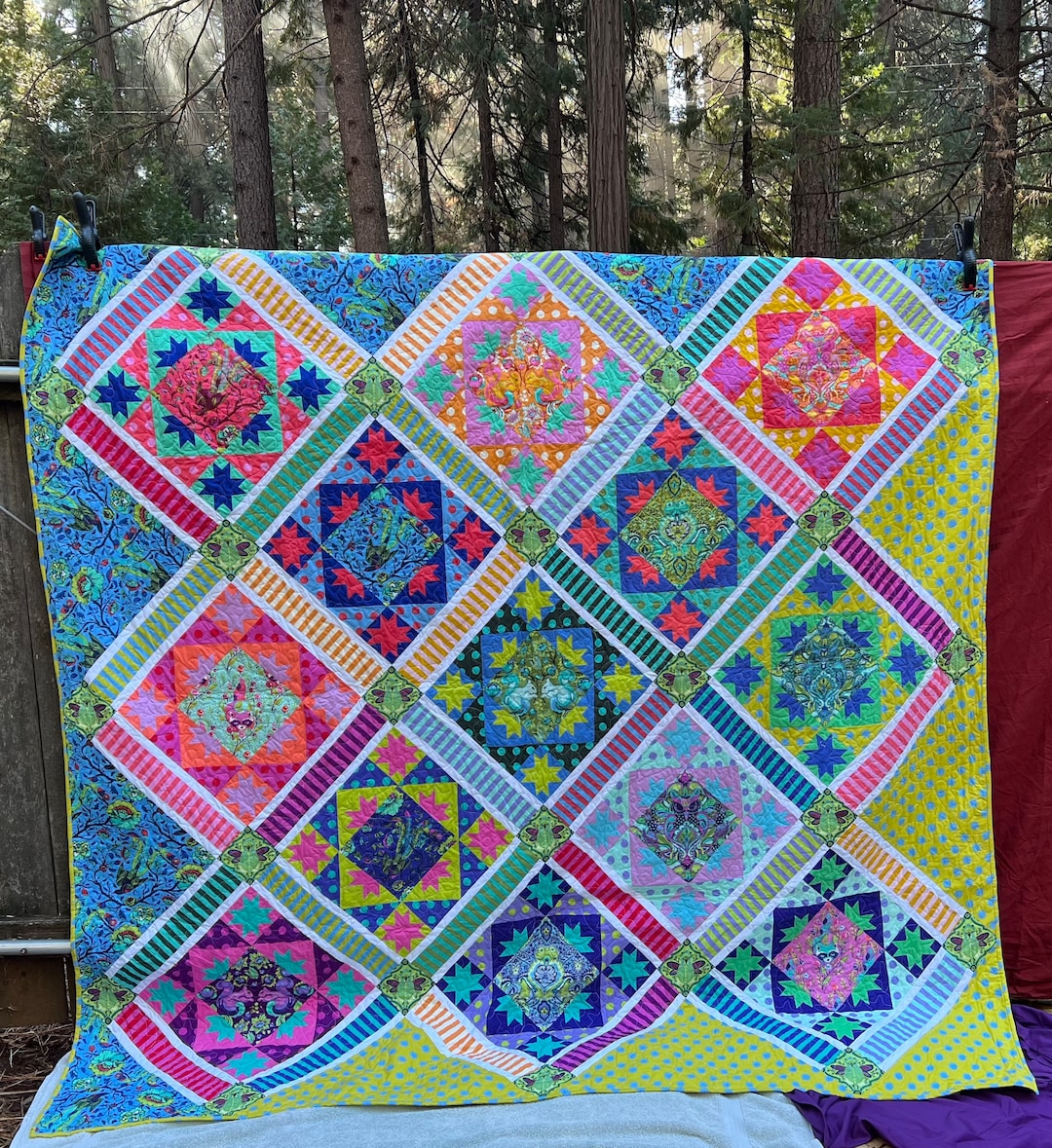Tula Pink Center Stage Completed Quilt Lower Price Reduced by - Etsy